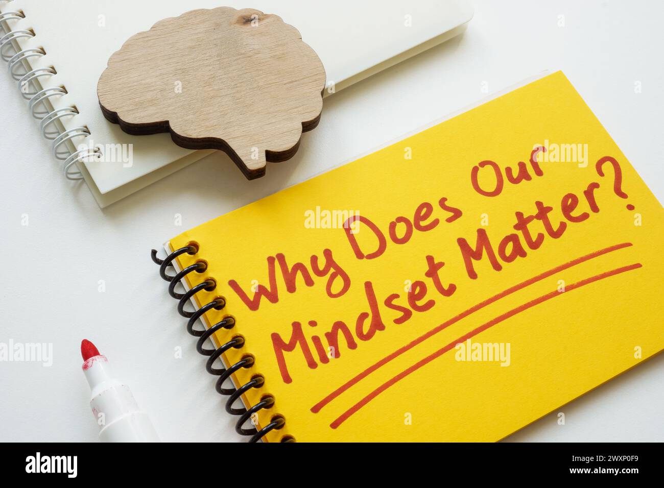 Brain model and notepad with a phrase why does our mindset matter Stock ...