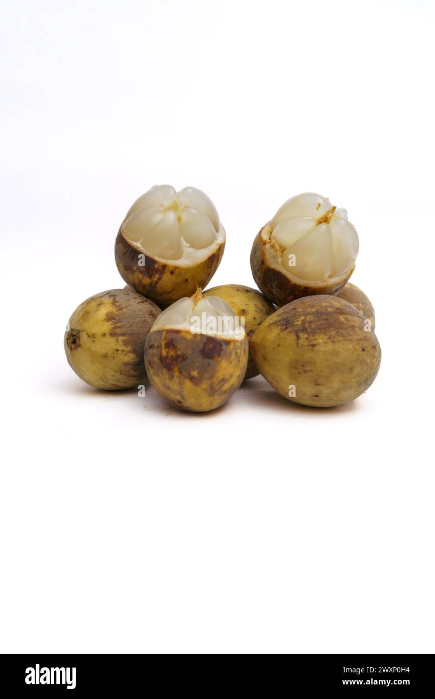 Lansium parasiticum or duku fruits, is a type of fruit that belongs to ...