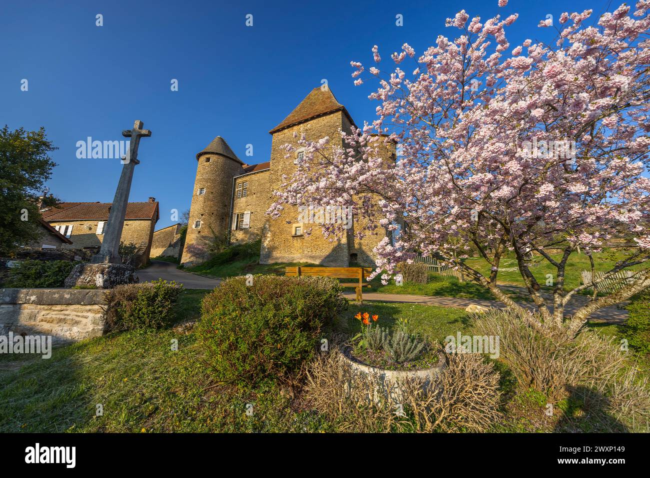 Chateau de Bissy-sur-Fley too Chateau de Pontus de Tyard, Bissy-sur ...