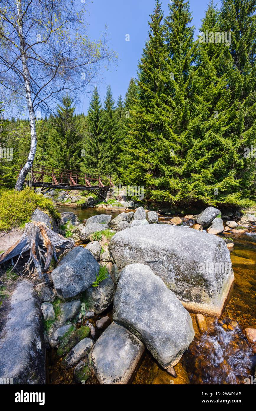 Spring landscape near Karlovsky most, Czech and Poland border, Jizerky ...