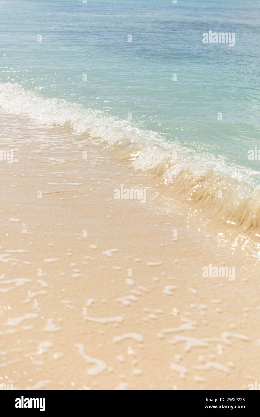 Sandy beach without people in Turks and Caicos Stock Photo - Alamy