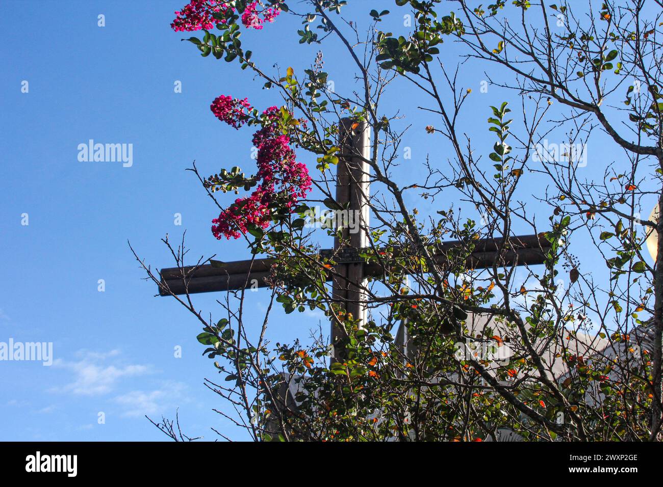 A wooden cross among the green leaves of a tree with red, pink and ...