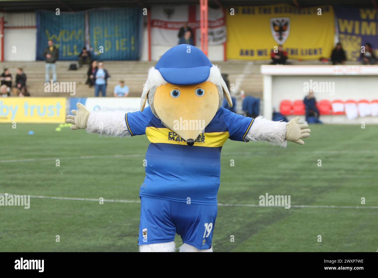 Haydon the Womble mascot AFC Wimbledon Women v Norwich City Women FC ...