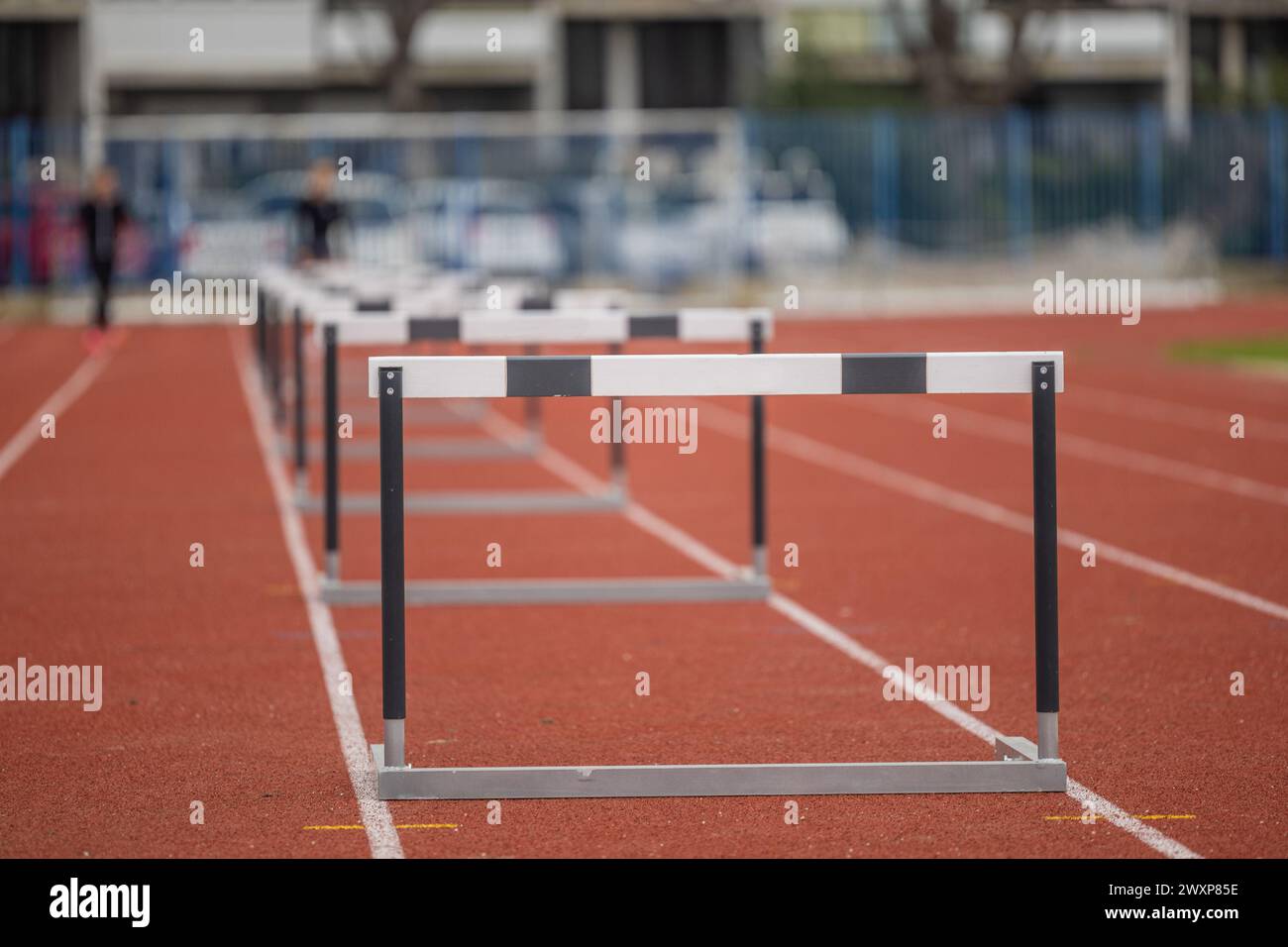 Hurdles for athletic running standing in a row. Open space on stadium ...