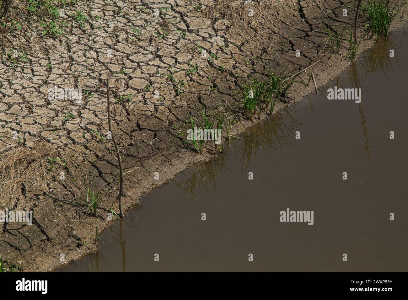 Soil fissures hi-res stock photography and images - Alamy