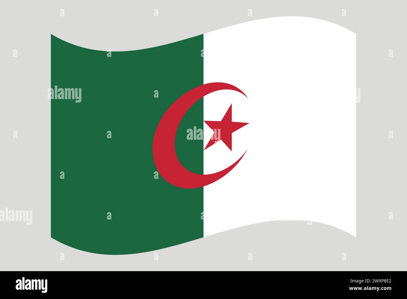 Flag of Algeria. Algerian national symbol in official colors. Template ...