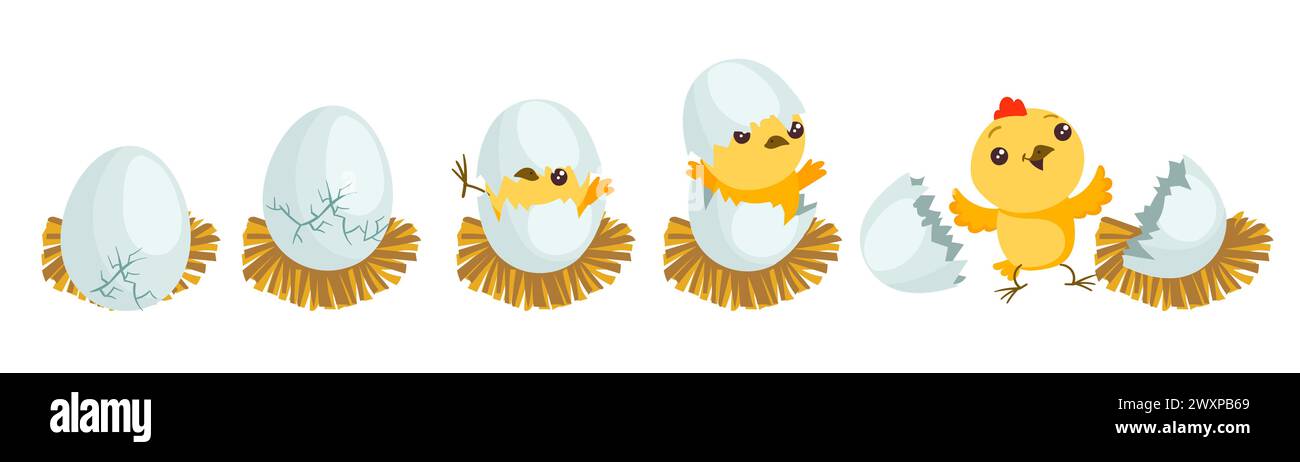 Chicken egg hatch incubator Stock Vector Images - Alamy