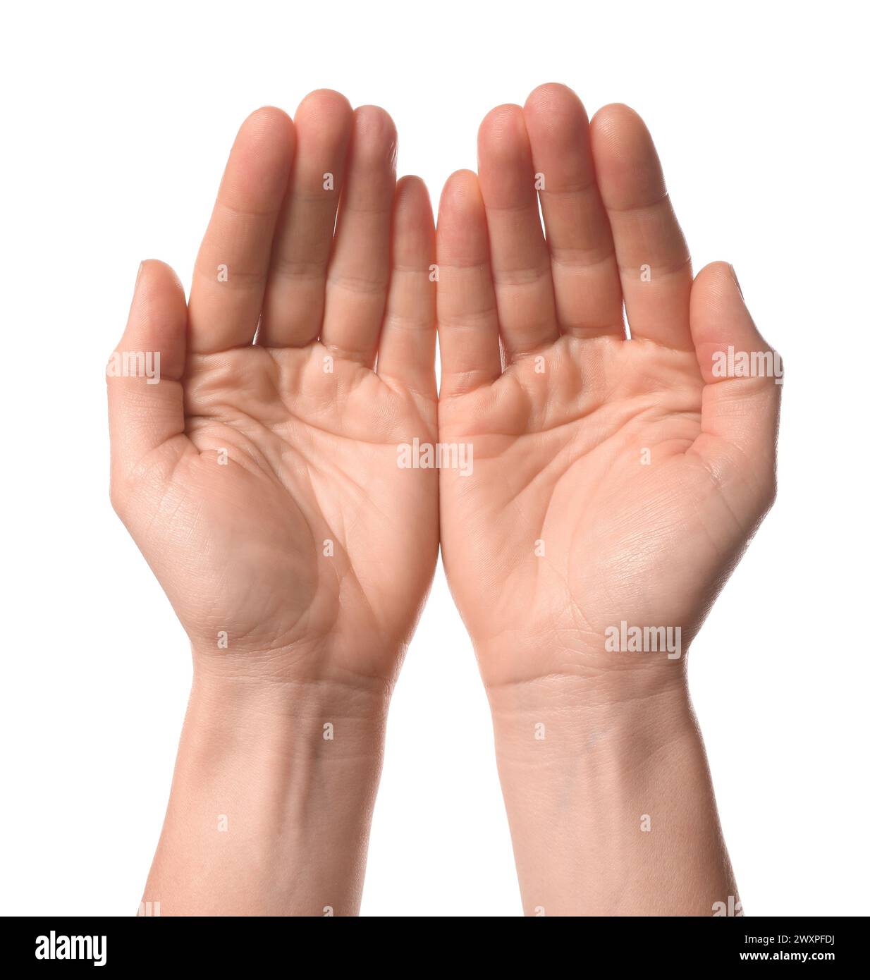 Religion. Woman with open palms praying on white background, closeup ...