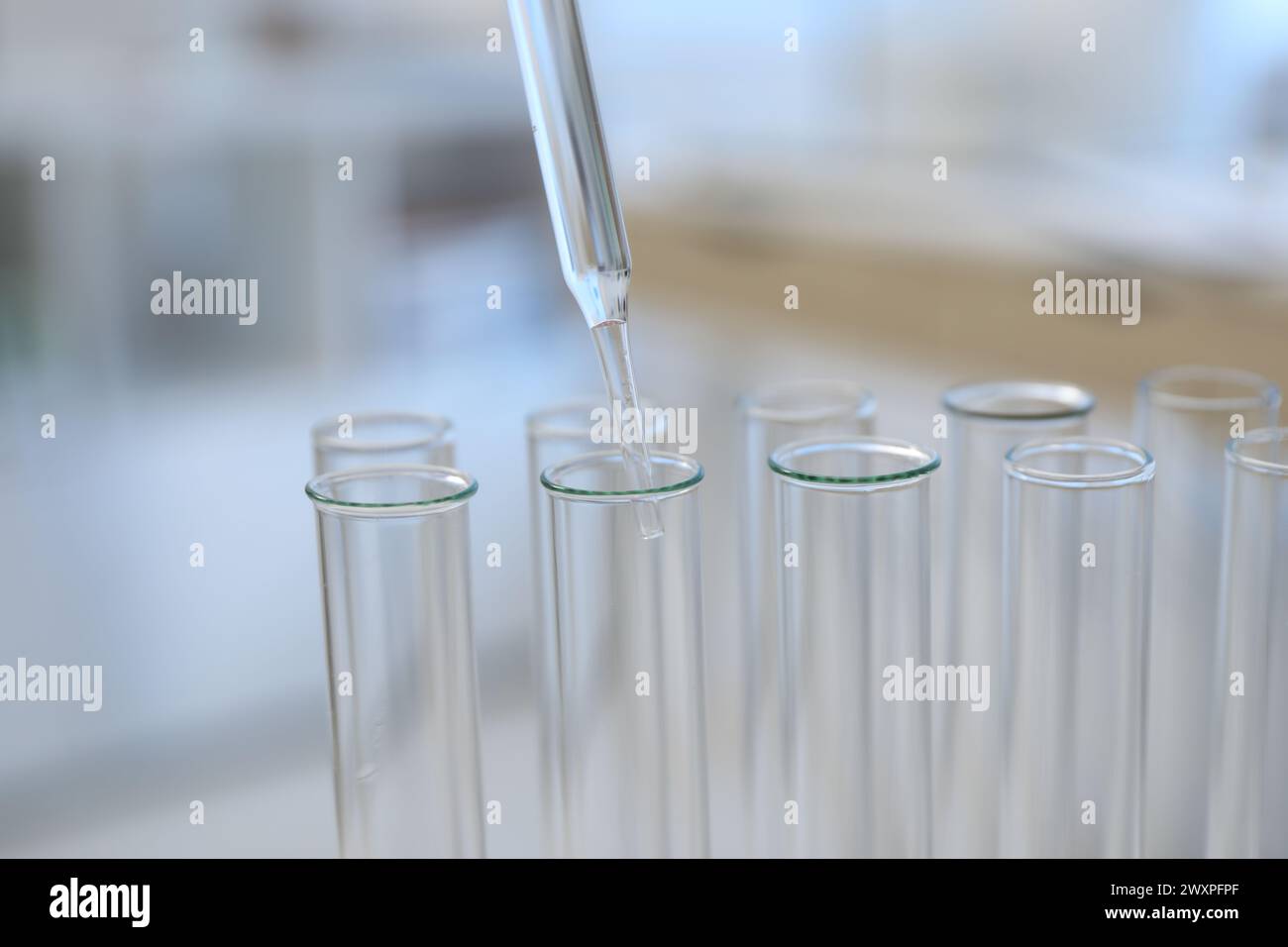 Laboratory analysis. Dripping liquid into test tubes indoors, closeup ...