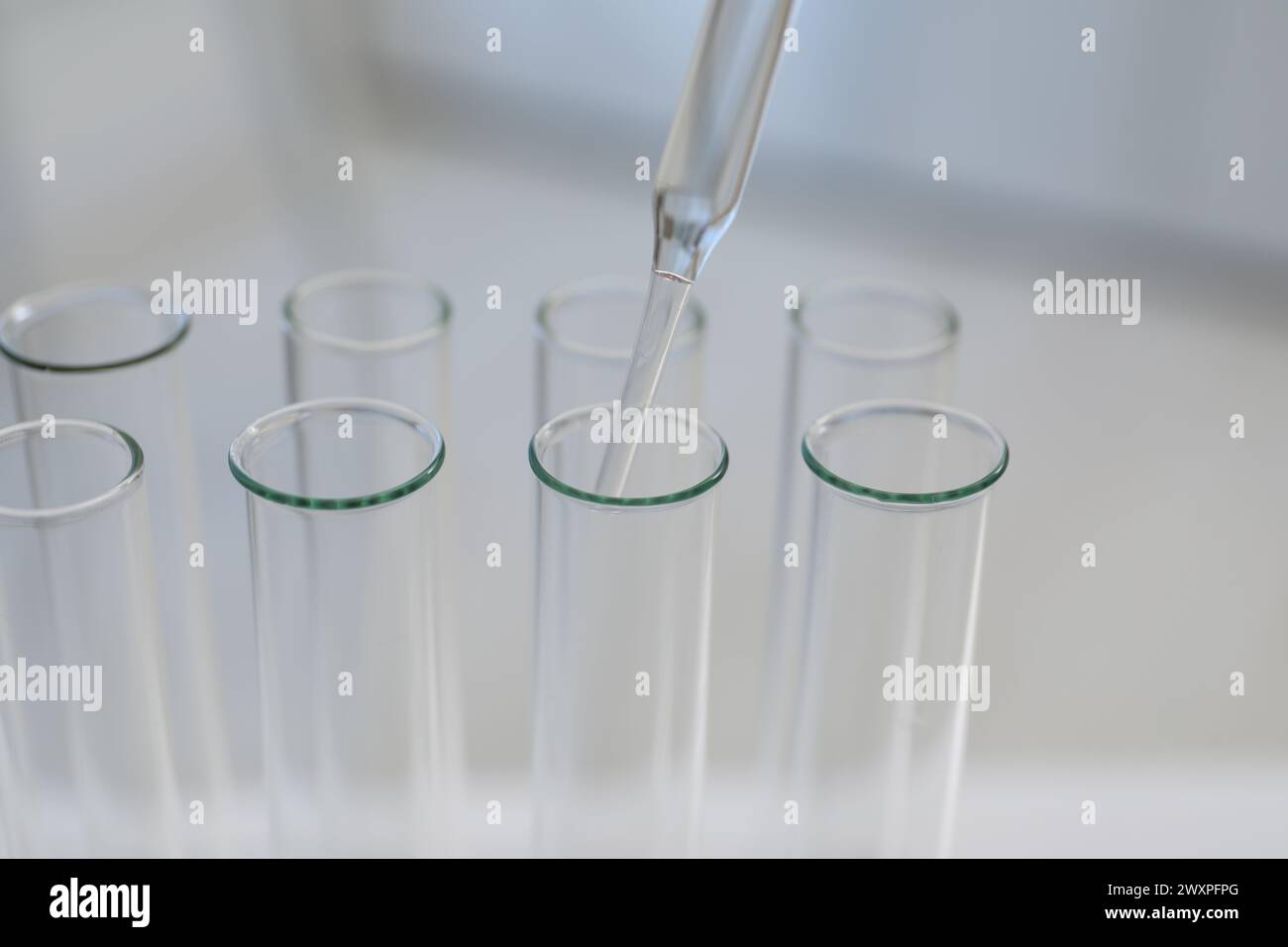 Laboratory analysis. Dripping liquid into test tubes indoors, closeup ...