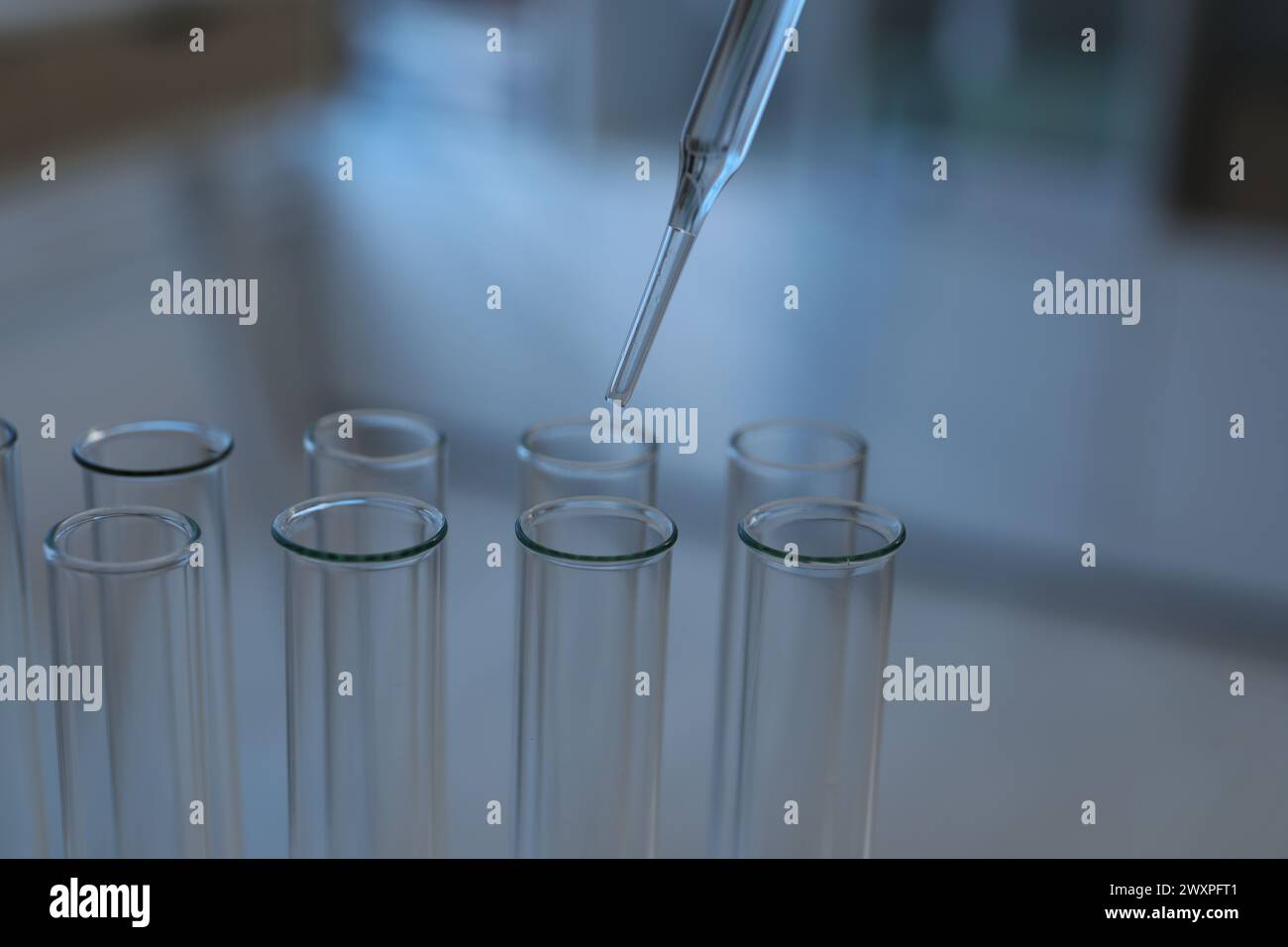 Laboratory analysis. Dripping liquid into test tubes indoors, closeup ...