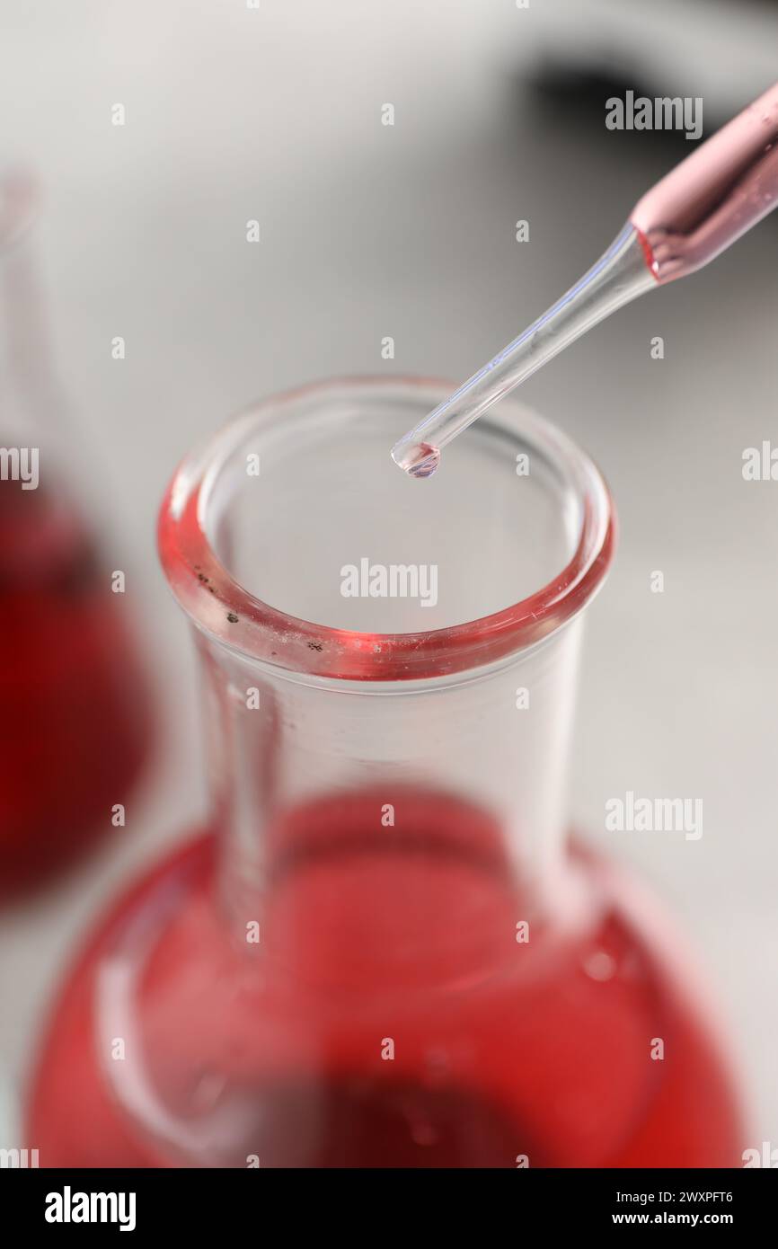 Laboratory analysis. Dripping red liquid into flask at light grey table ...
