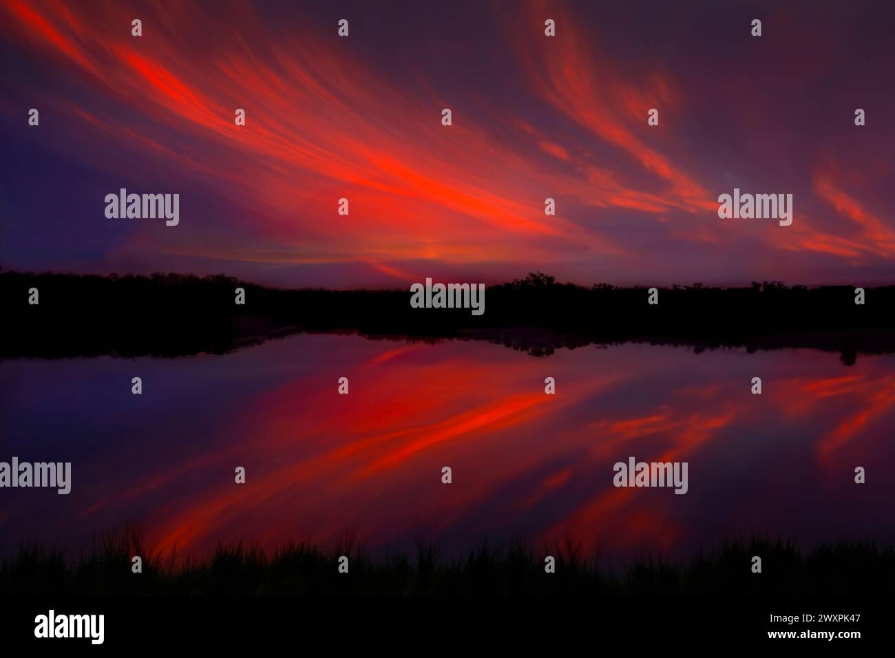 Natural light illuminates hi-res stock photography and images - Alamy