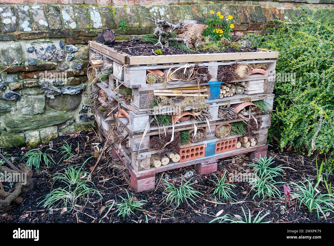 Insect,Bee,Hotel,Pallets,Garden of Remembrance,Canterbury Cathedral ...