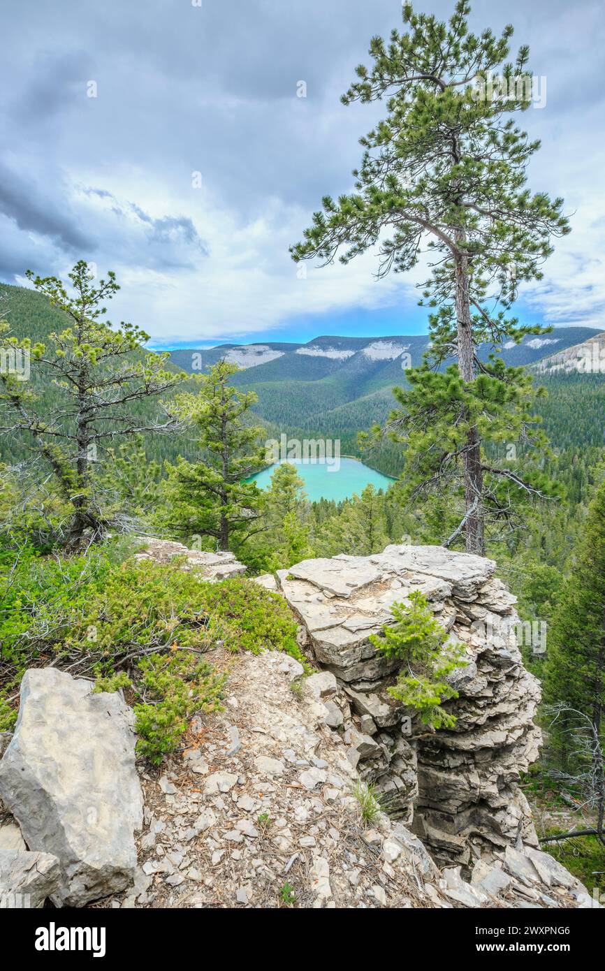 Mt d5900 hi-res stock photography and images - Alamy