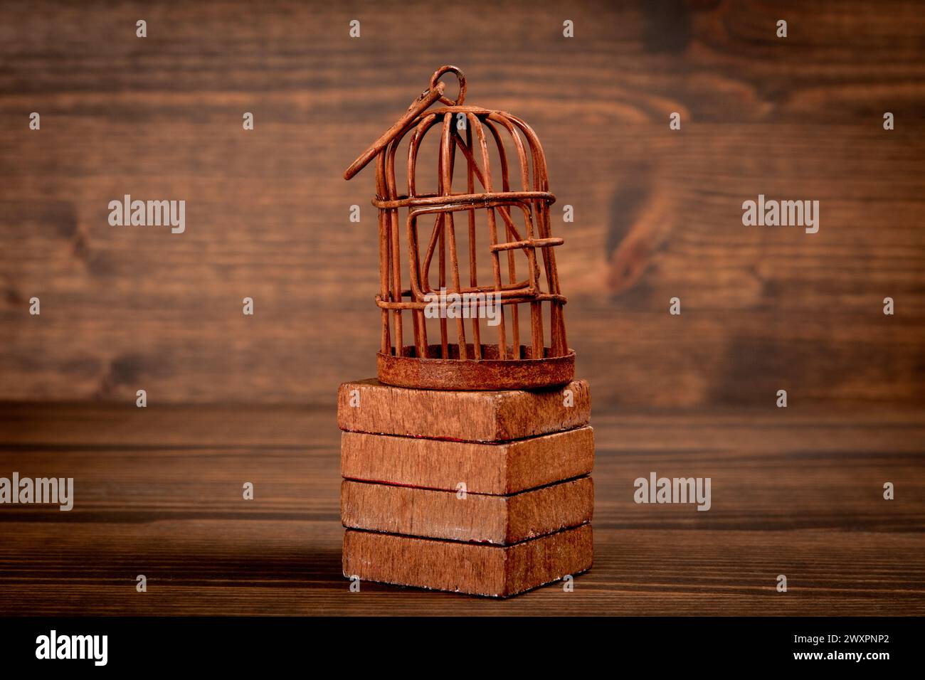 Rusty bird cage on wood texture background. Captivity, prison and the ...