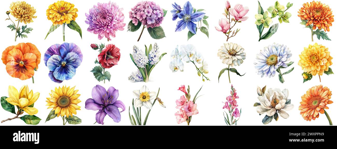 Watercolor flower set isolated background. Various floral collection of ...