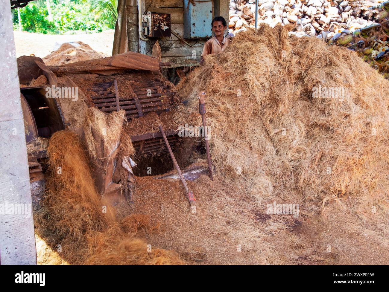 Kalutara, Sri Lanka 09 february 2023.Three stages of coconut coir rope ...