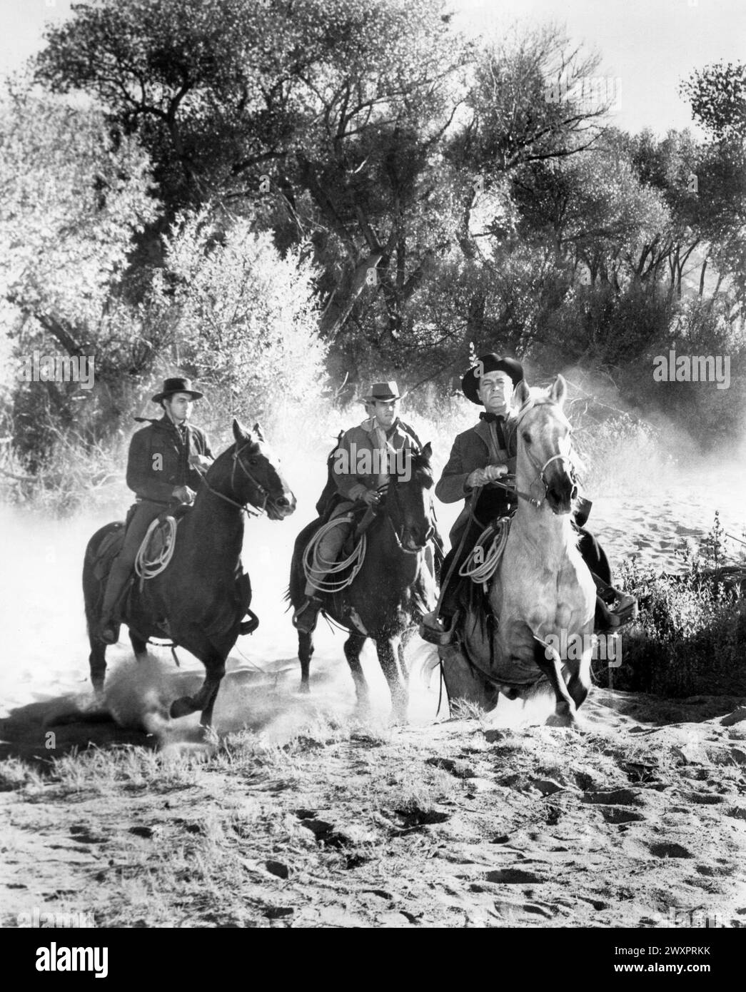 Robert Loggia (left), Robert Taylor (right), on-set of the film, "Cattle King", MGM, 1963 Stock ...