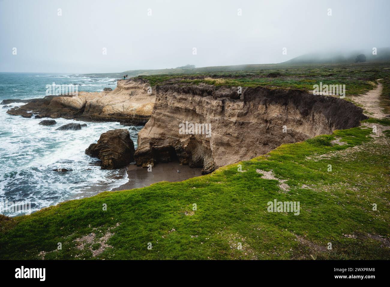 California coastline landscape. Rocky cliffs and native plants on the ...