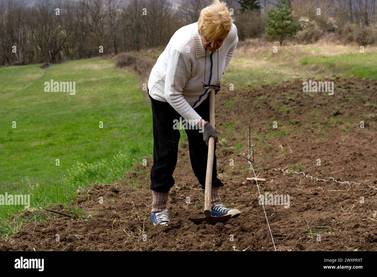 Woman weeding field using hoe hi-res stock photography and images - Alamy