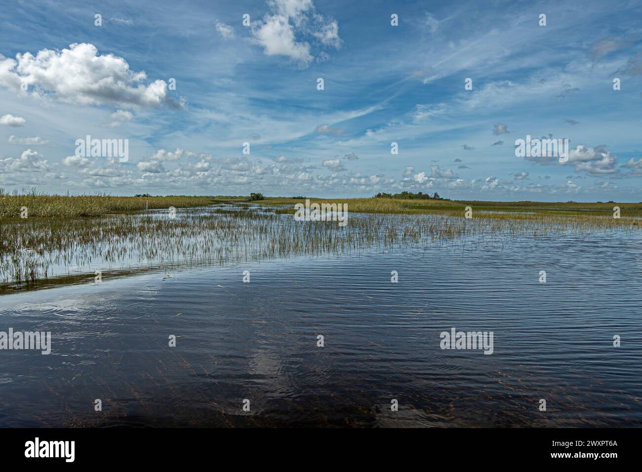 Everglades, Florida, USA - July 29, 2023: Wide black river landscape ...