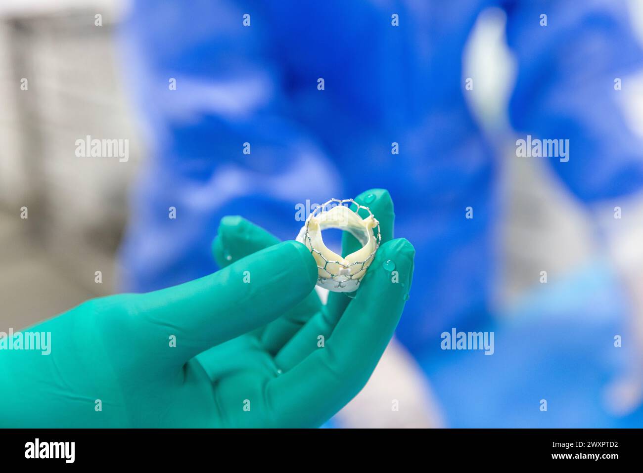 Heart valve surgery cardiology for patient in hospital. Prepare ...