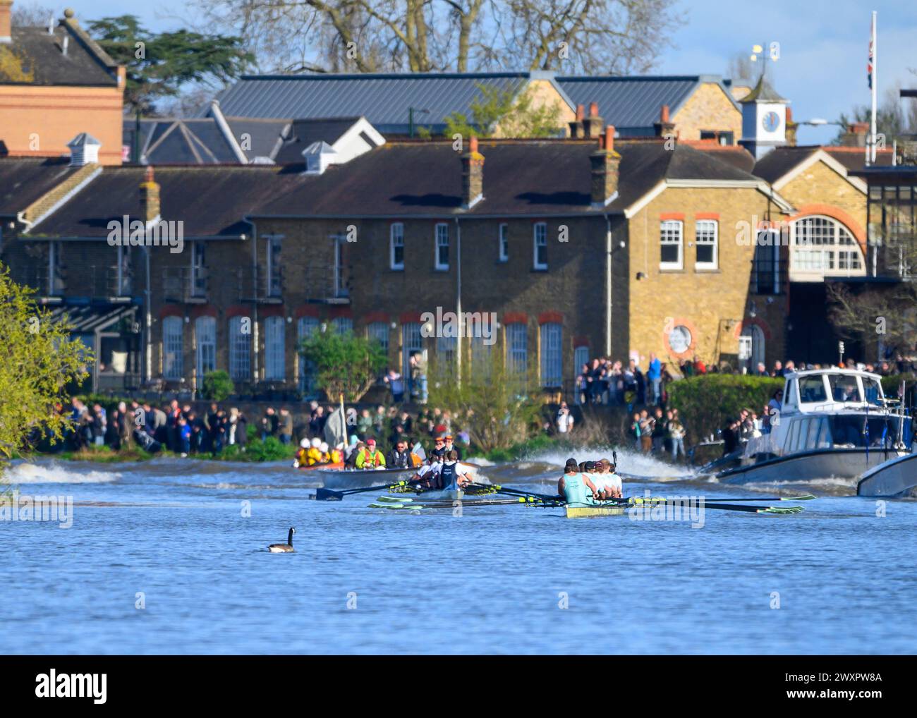 Saturday, March 2024 30th 169th Gemini Men's Boat Race Stock Photo - Alamy