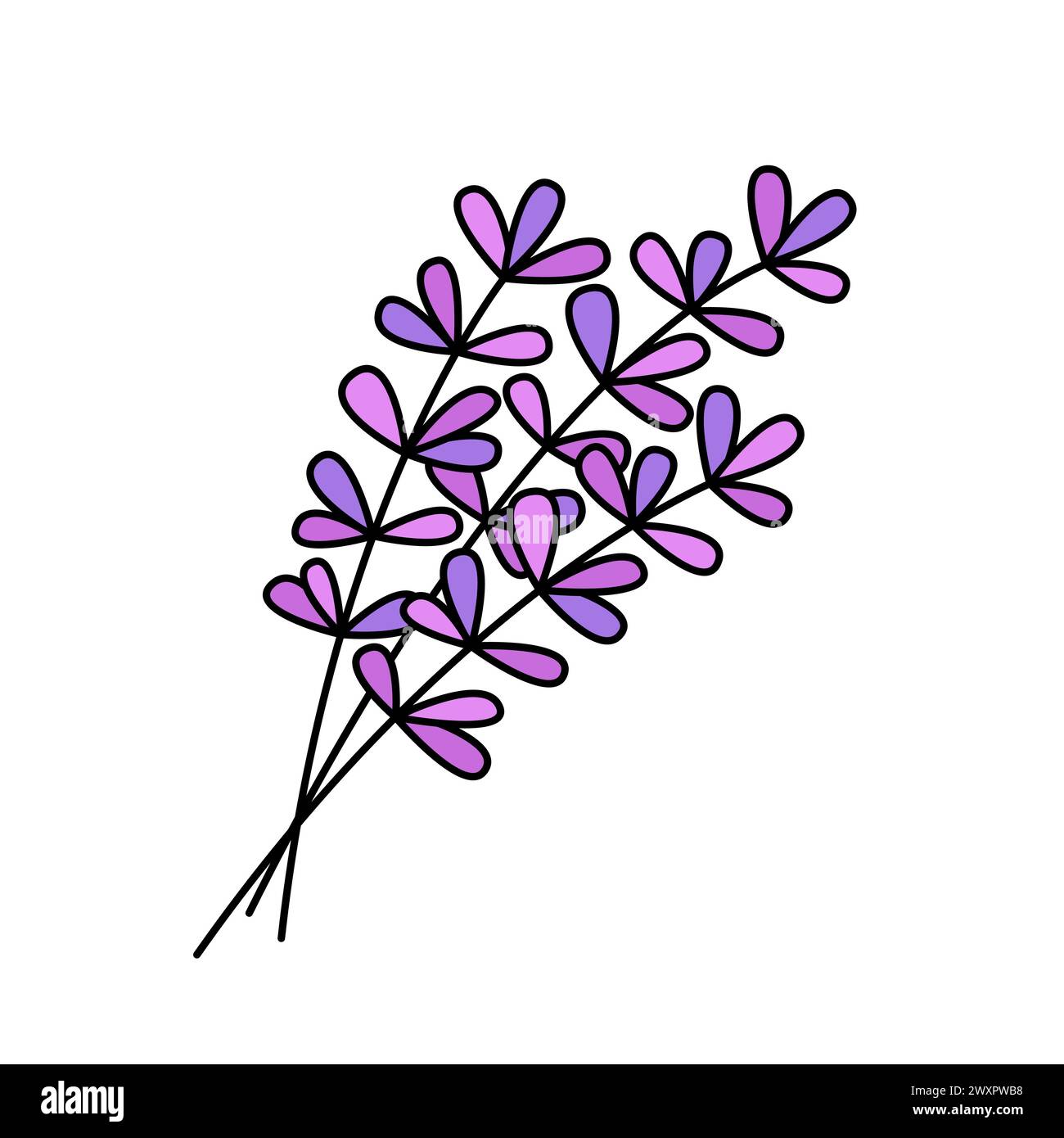 Lavender blossom bunch doodle vector illustration. Cute hand drawn ...
