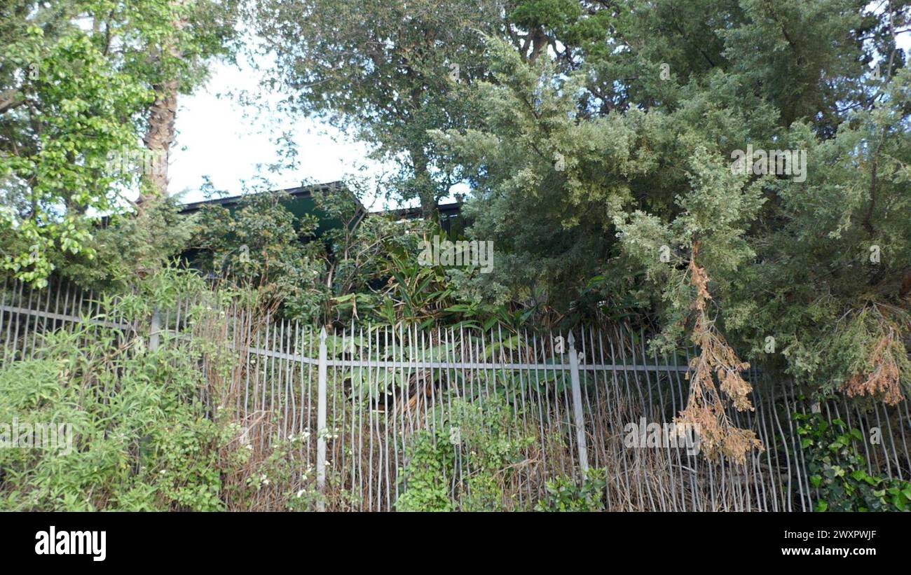 Los Angeles, California, USA 31st March 2024 Actor/comedian Paul ...