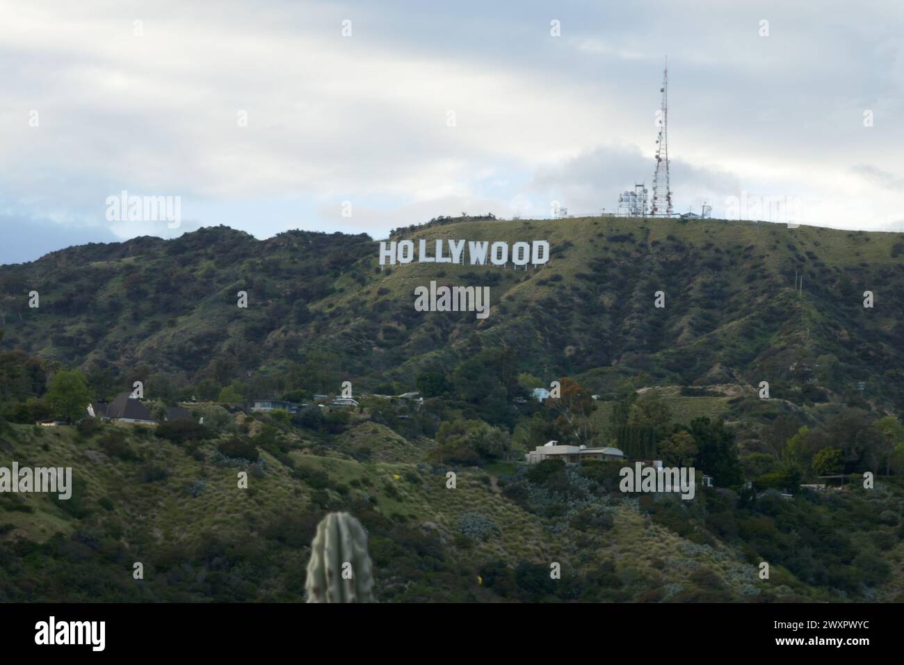 Los Angeles, California, USA 31st March 2024 The Hollywood Sign on ...