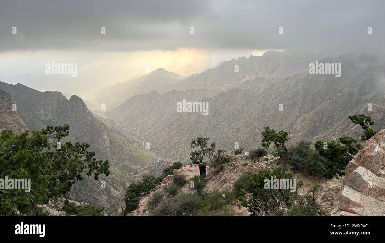 Taif saudi arabia hi-res stock photography and images - Alamy