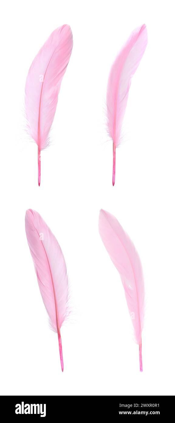 Dove detail Cut Out Stock Images & Pictures - Alamy