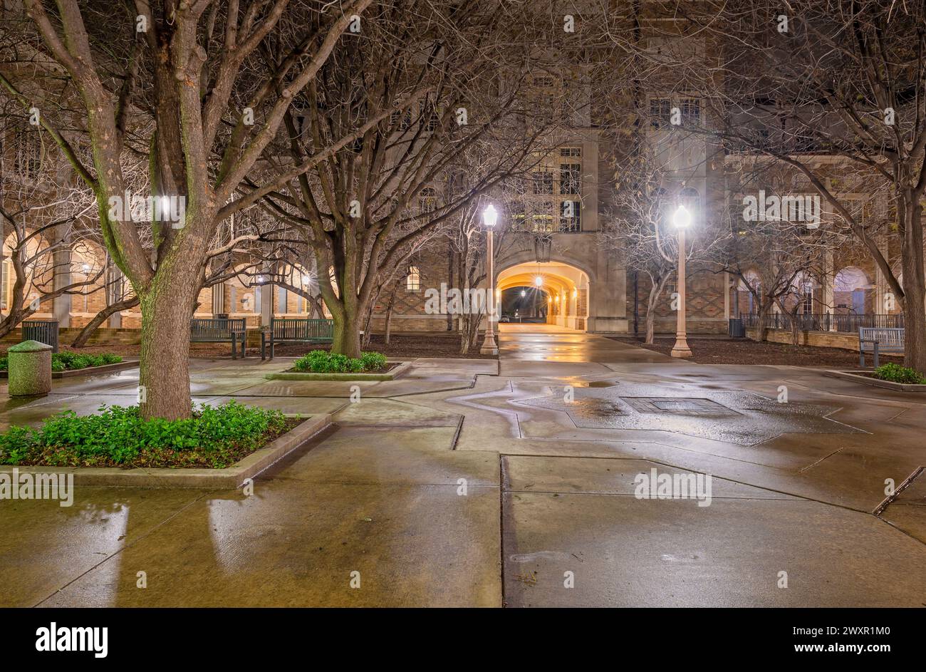 Night view of a pedestrian walkway on the Texas Tech University campus ...