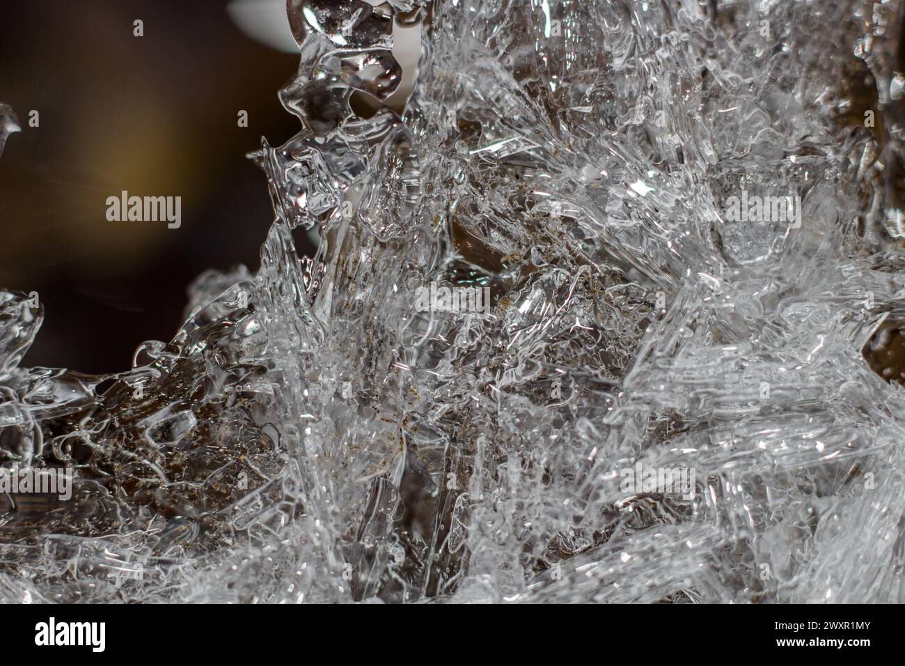 Sprawling ice hi-res stock photography and images - Alamy