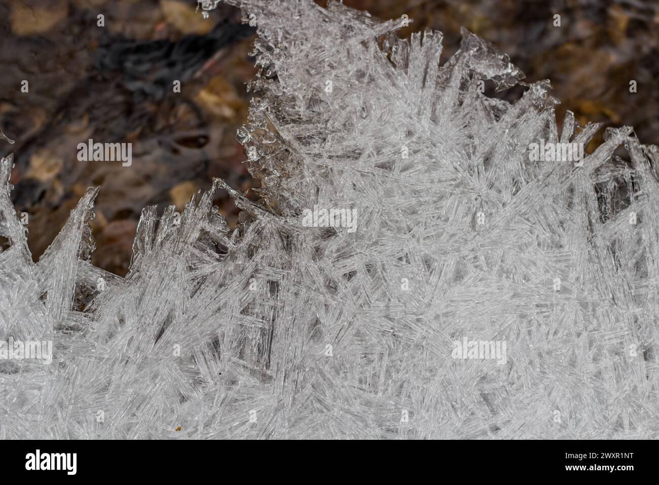 Creeping ice hi-res stock photography and images - Alamy