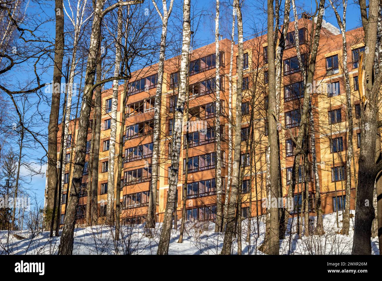 Residential multi-storey apartment building behind the trees Stock ...
