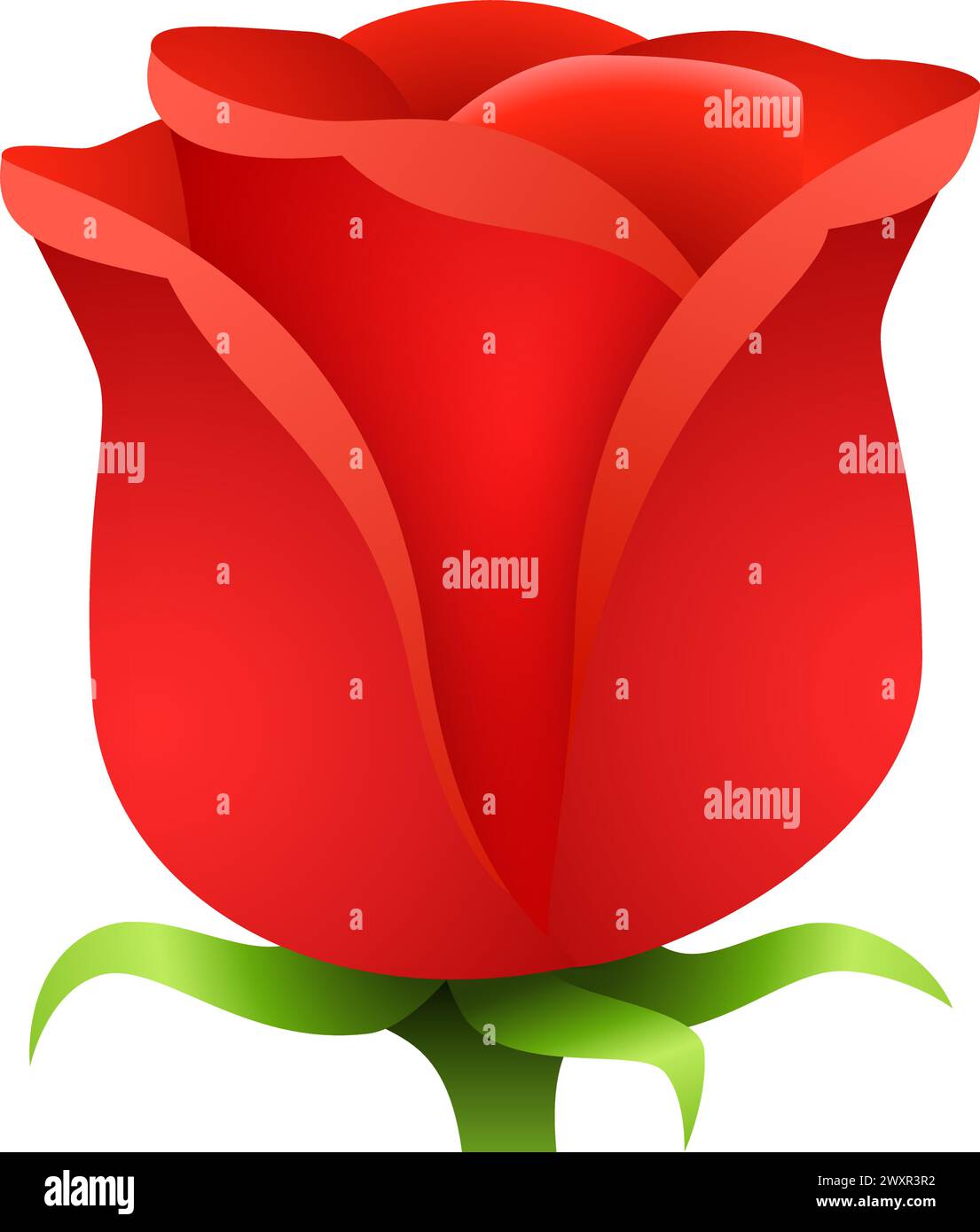 Rose stock vector hi-res stock photography and images - Alamy