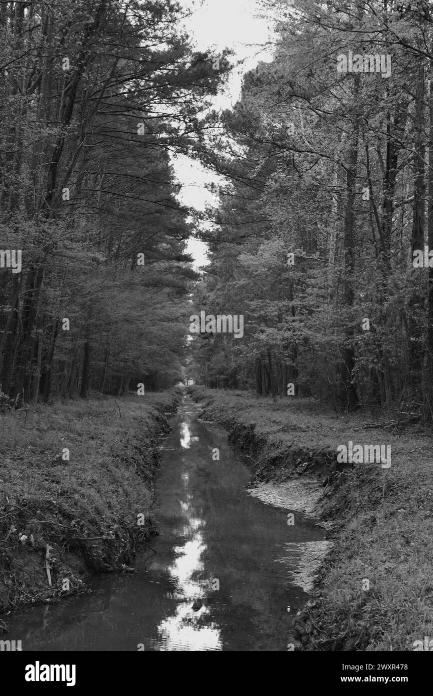 Slow creek hi-res stock photography and images - Alamy