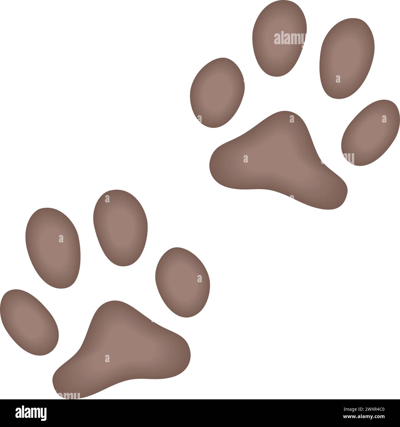 High paw Stock Vector Images - Alamy