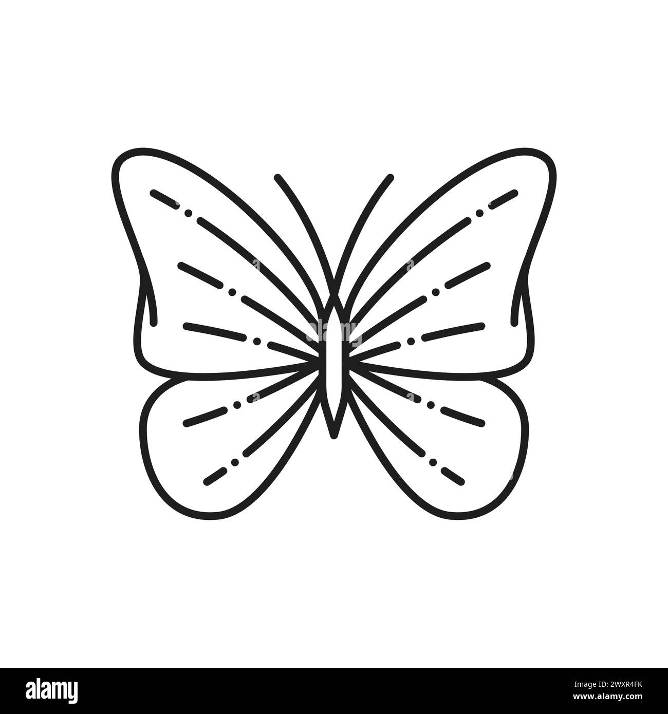 Queen Butterfly Line Drawing