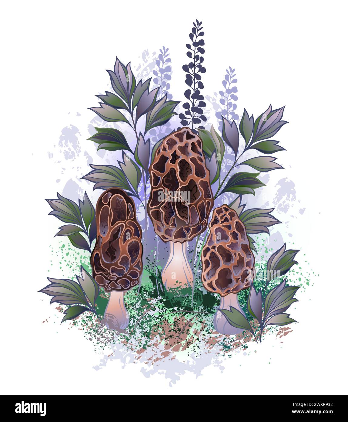 Three brown, artistically drawn morel mushrooms on moss with wild ...