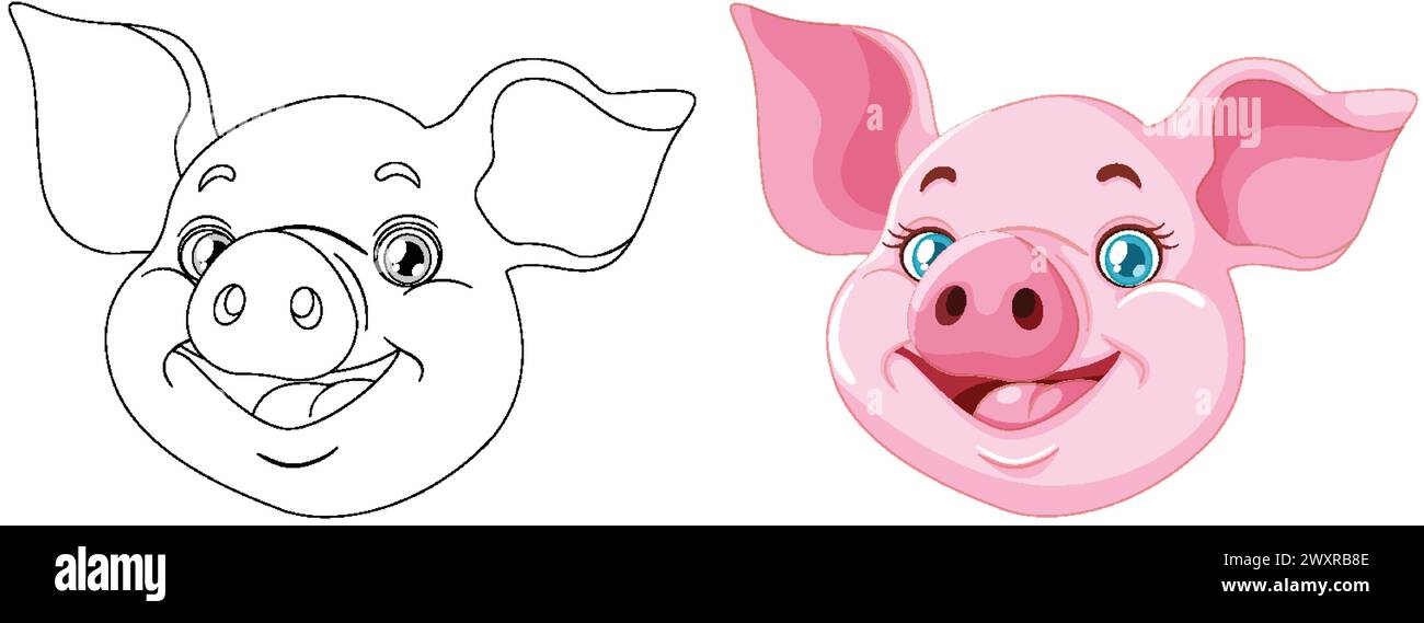 Two-stage illustration of a pig, sketch and color Stock Vector Image ...