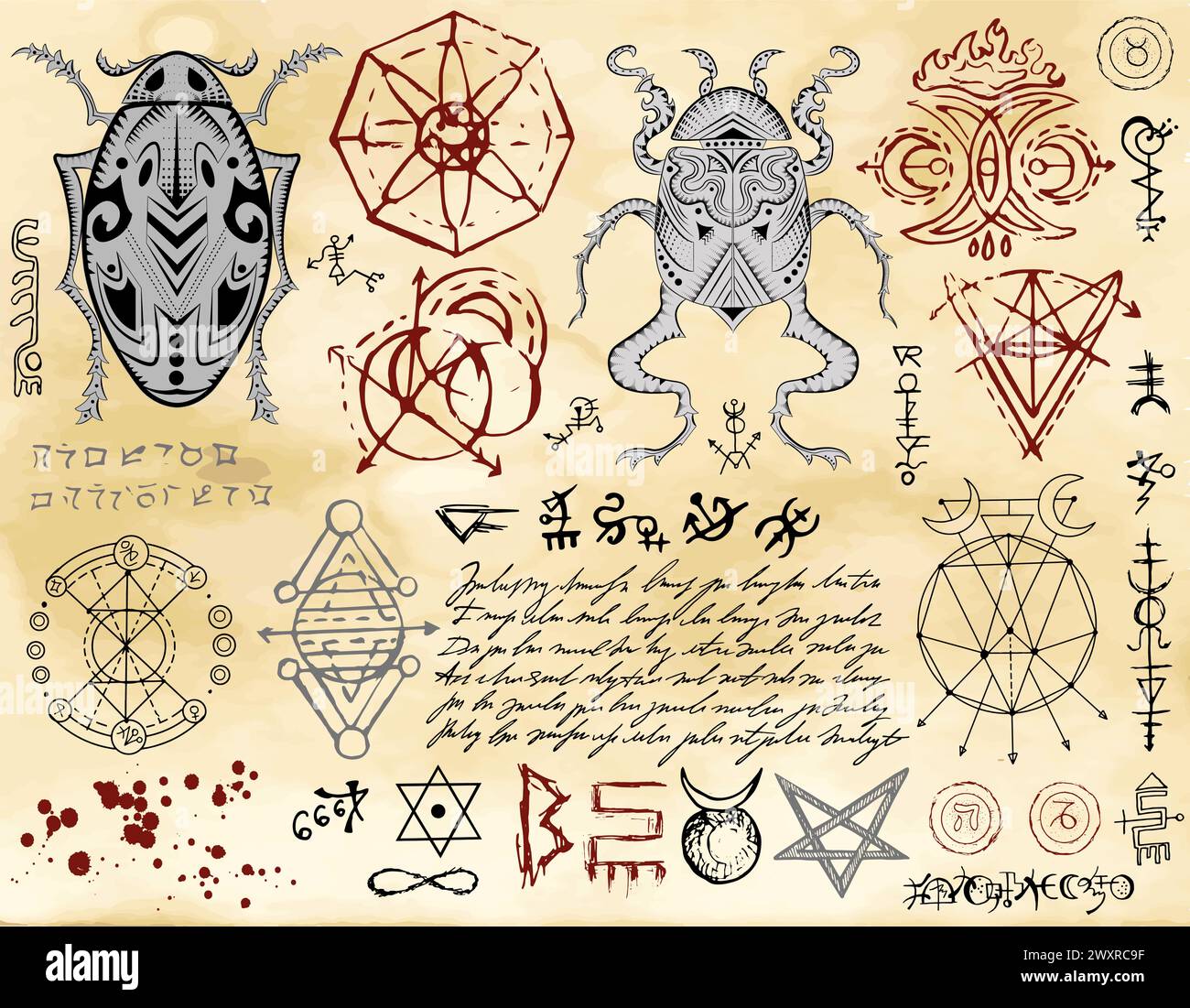Design vector set with decorated bugs, pentagram, mystic, magic and ...