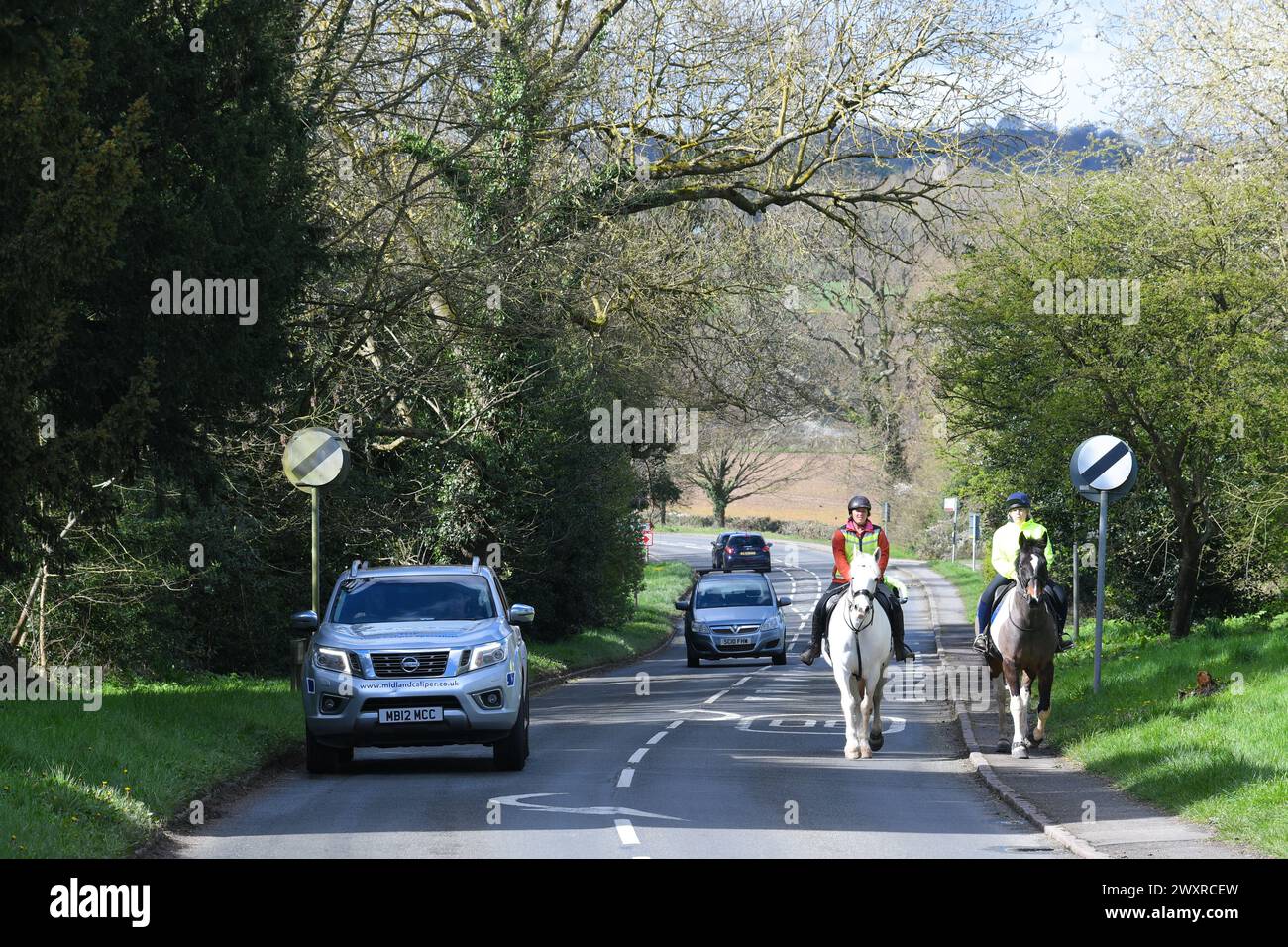 cars giving horses a wide berth on a road Stock Photo - Alamy