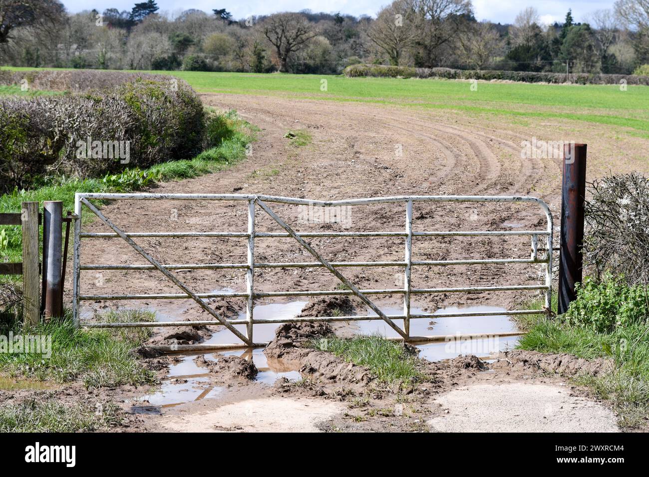 waterlogged farmers fields april 2024 Stock Photo - Alamy