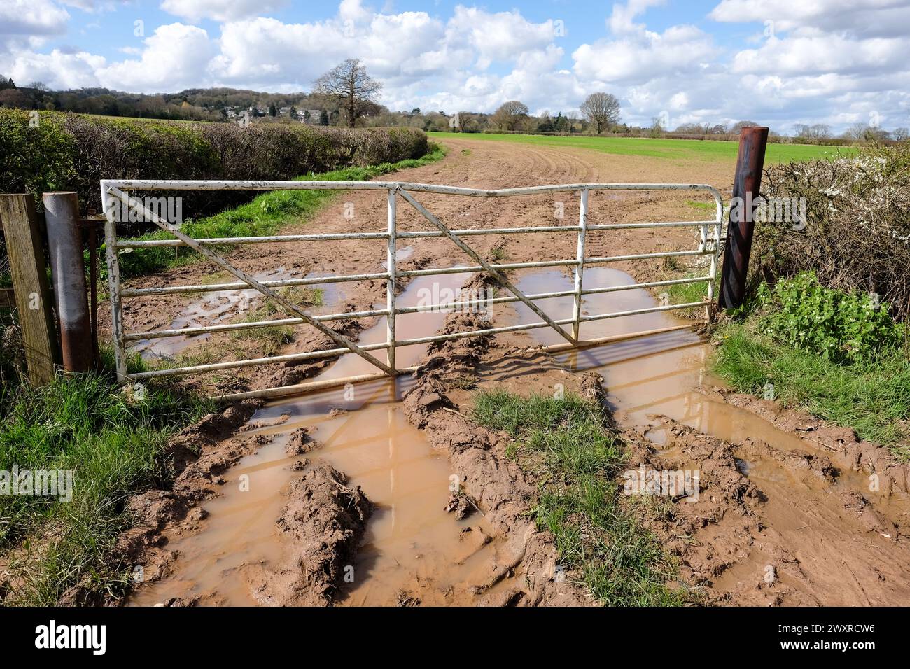 waterlogged farmers fields april 2024 Stock Photo - Alamy