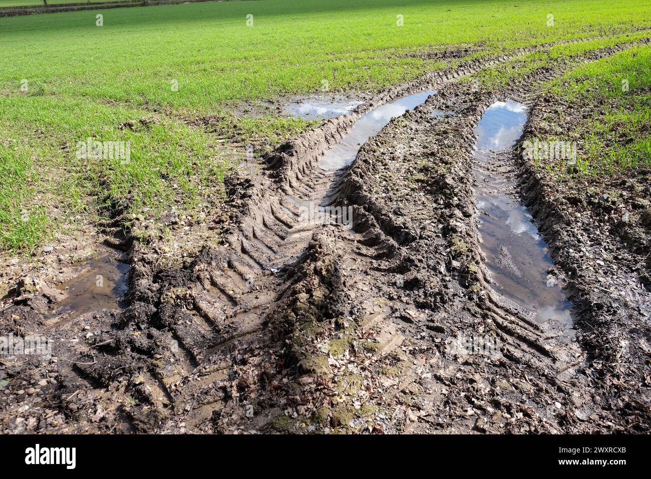 waterlogged farmers fields april 2024 Stock Photo - Alamy