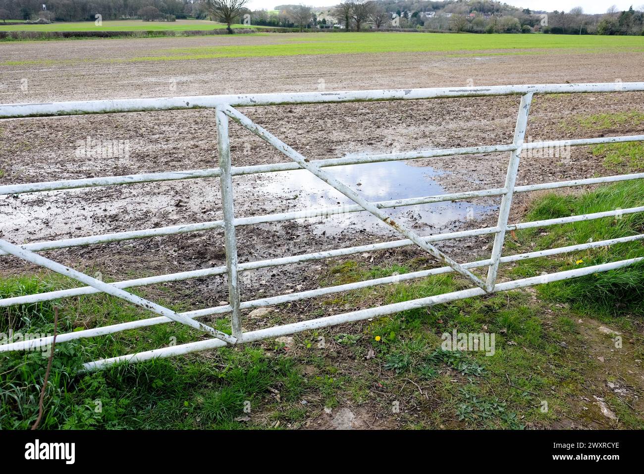 waterlogged farmers fields april 2024 Stock Photo - Alamy