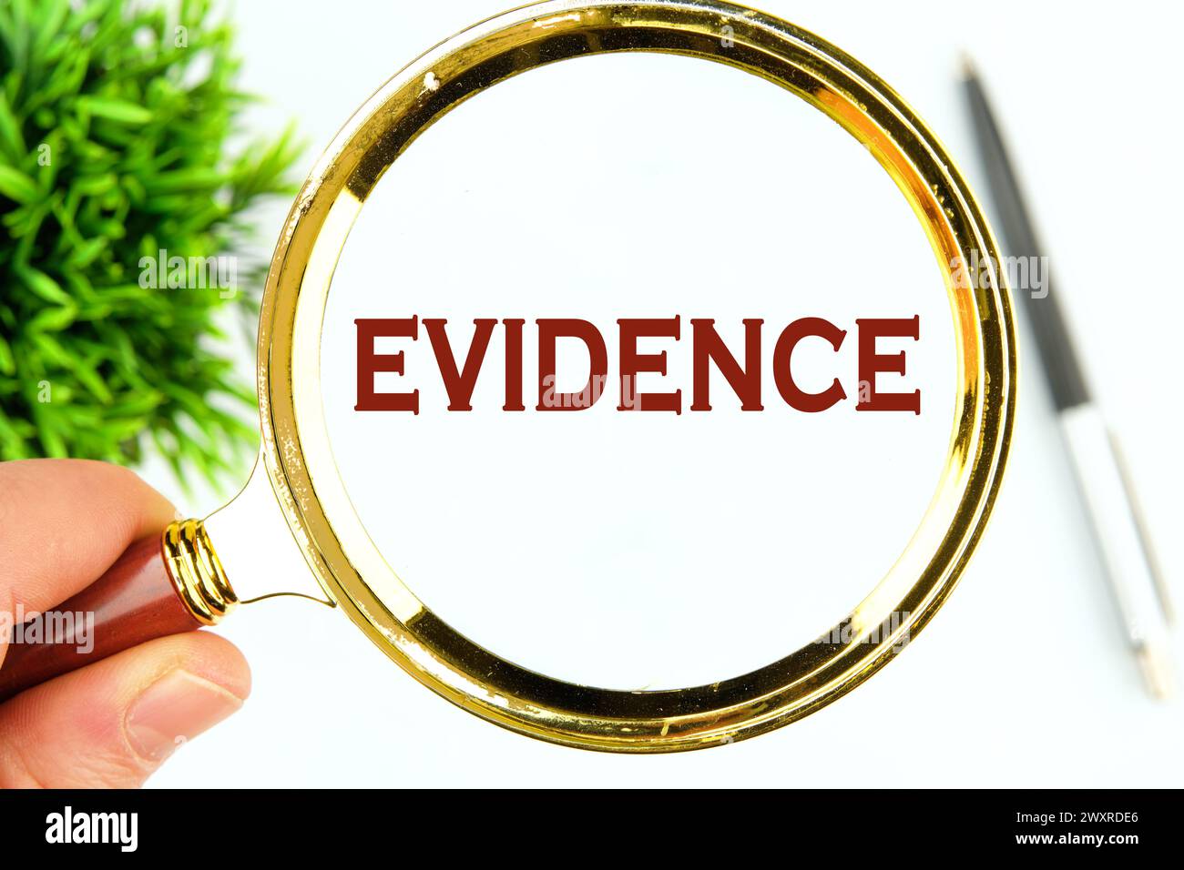Word Evidence written through a magnifying glass on a white background ...